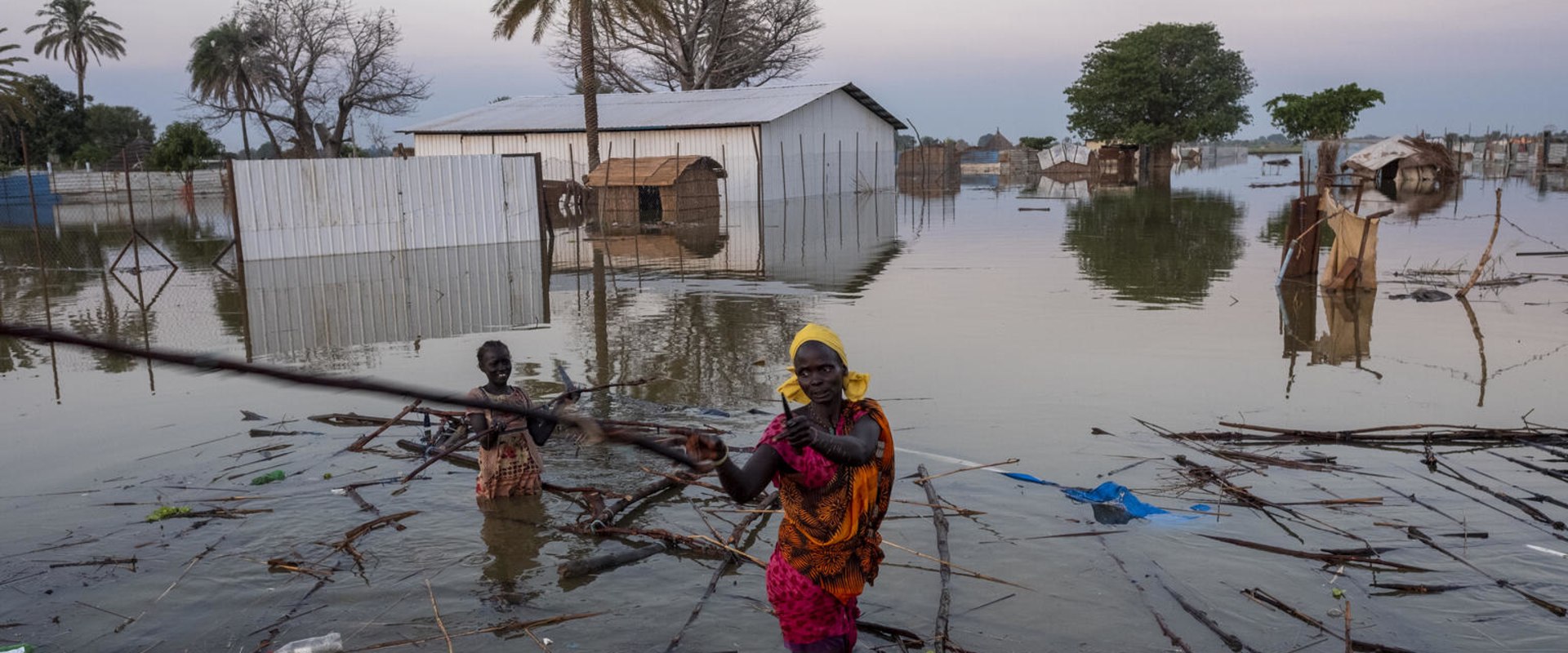 Causes and Consequences of Water Scarcity: Understanding the Impact on ...
