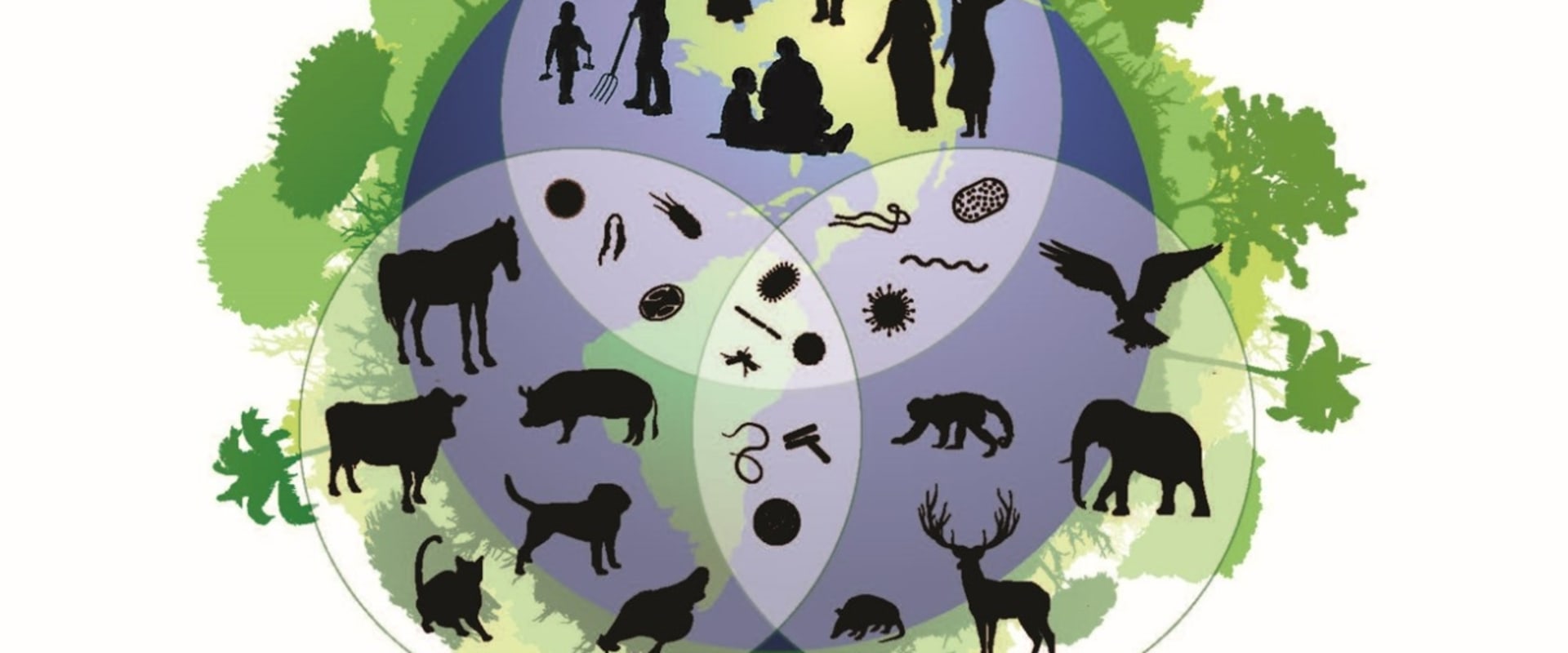 Protecting Biodiversity and Ecosystems: The Importance of Home Water ...