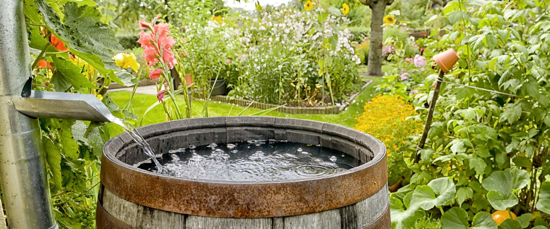 Rainwater Harvesting Systems: A Comprehensive Guide to Water ...