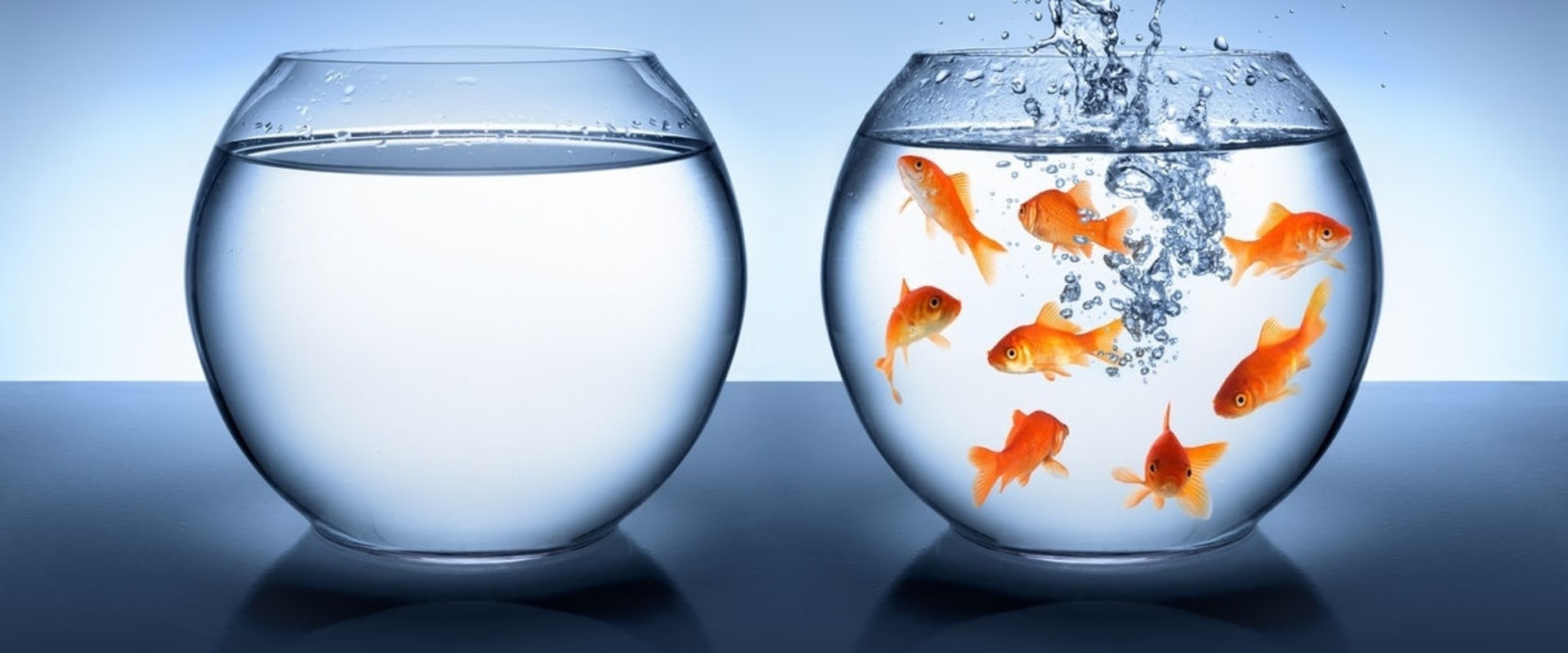 Barriers to Adopting Water-Saving Measures: Overcoming Resistance to Change