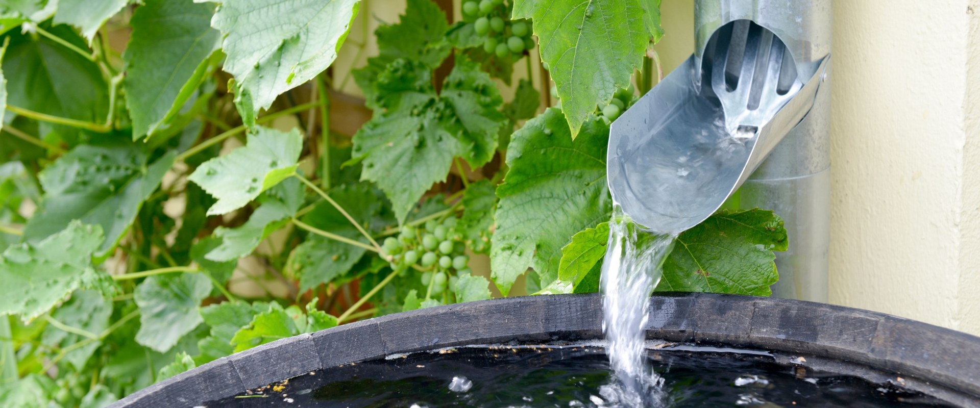 Raising awareness about the value of water: Tips and techniques for ...