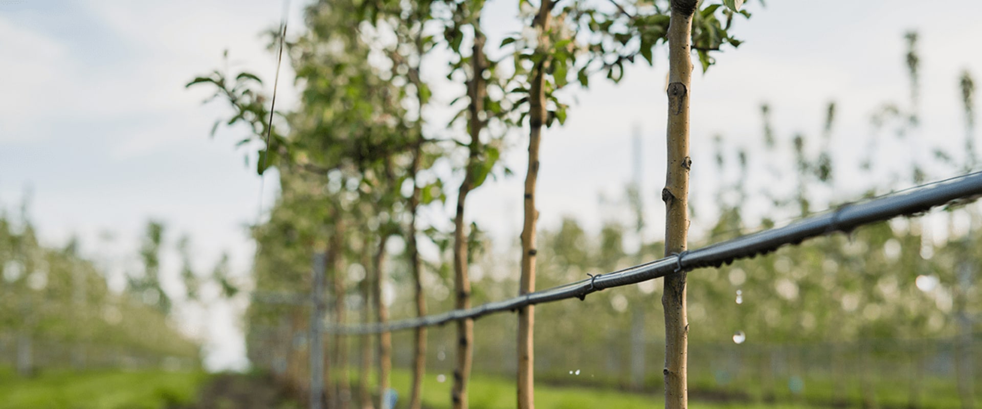 Water Conservation Initiatives: How to Reduce Your Water Usage and Live ...